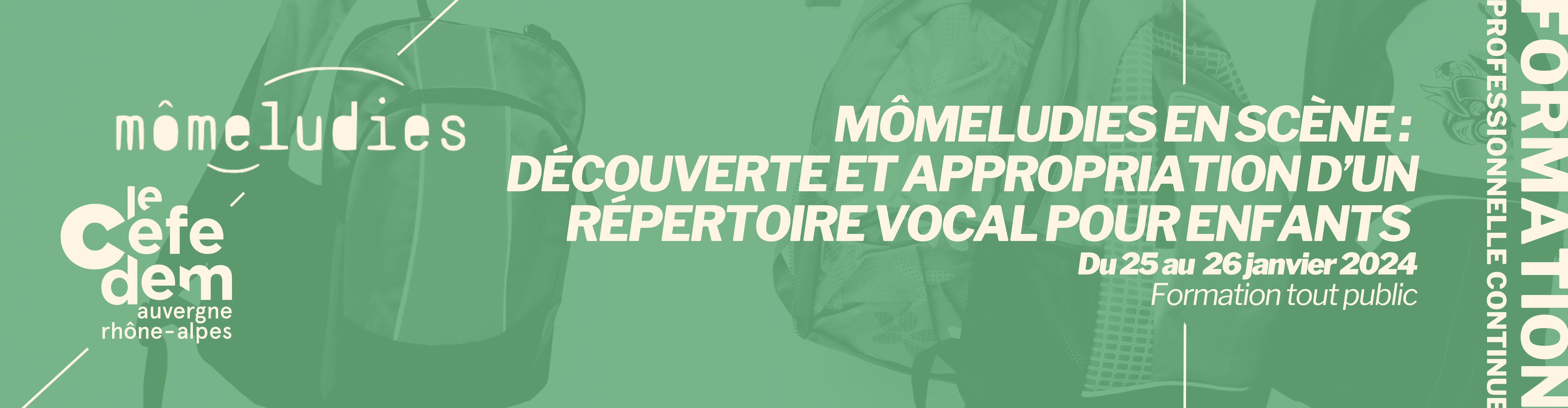 Cefedem | centre de ressources professionnelles et d'enseignement ...